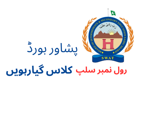 BISE Swat Board 11th Class Roll Number Slip 2023