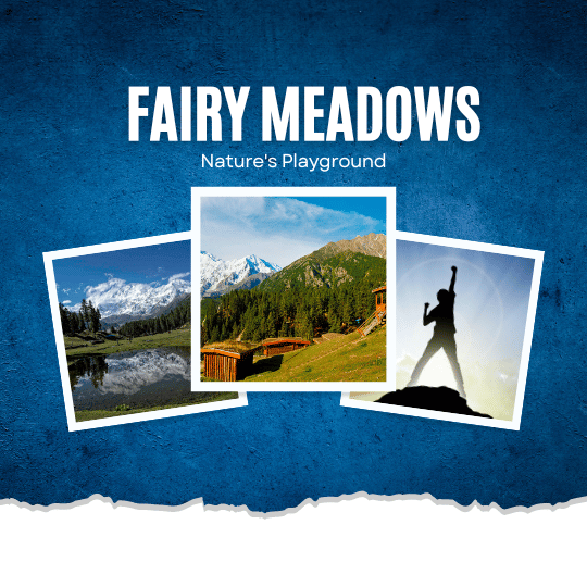 Fairy Meadows: Nature's Playground